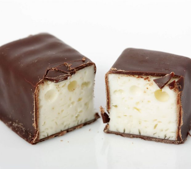 Extruded ice cream (stickless) - Teknoice